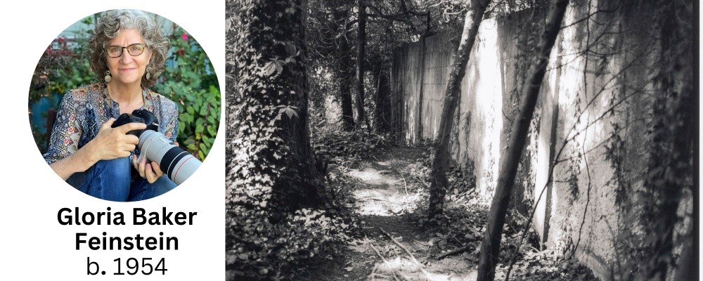 Artist Profile: Gloria Baker Feinstein - Blog - Art Museum - Grand Valley State University